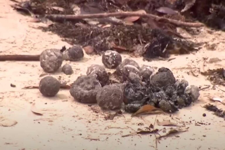 tar balls, palline di catrame che hanno invaso spiagge in Australia