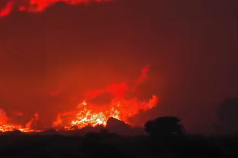 Il video del vasto incendio che ha colpito la Riserva dello Zingaro