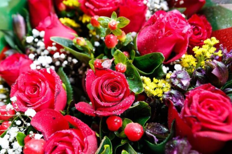 Vende rose senza permesso, multa da 5mila euro per un ambulante indiano