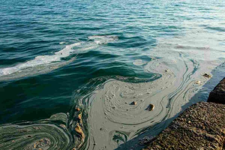 Sono queste le acque più inquinate d'Italia: due regioni nel mirino di Legambiente - Blitz ...