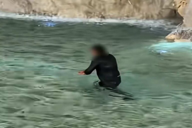 Roma, il video del turista che si tuffa nella fontana di Trevi