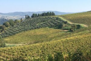 Toscana, turista israeliana cancella la vacanza dopo il messaggio del ...
